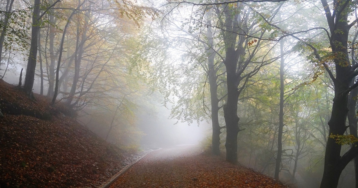 Still in EUSS Application Limbo | In Limbo